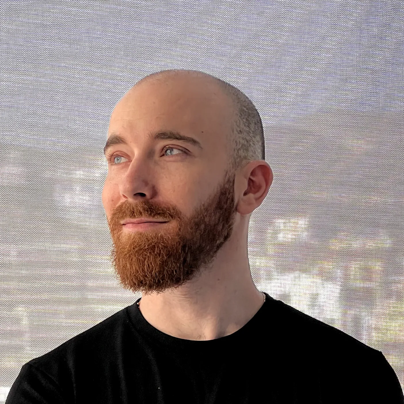 Steady | Balint Bogdan - Portfolio